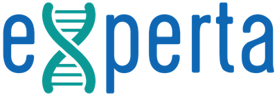 Kezdőlap - EXPERTA